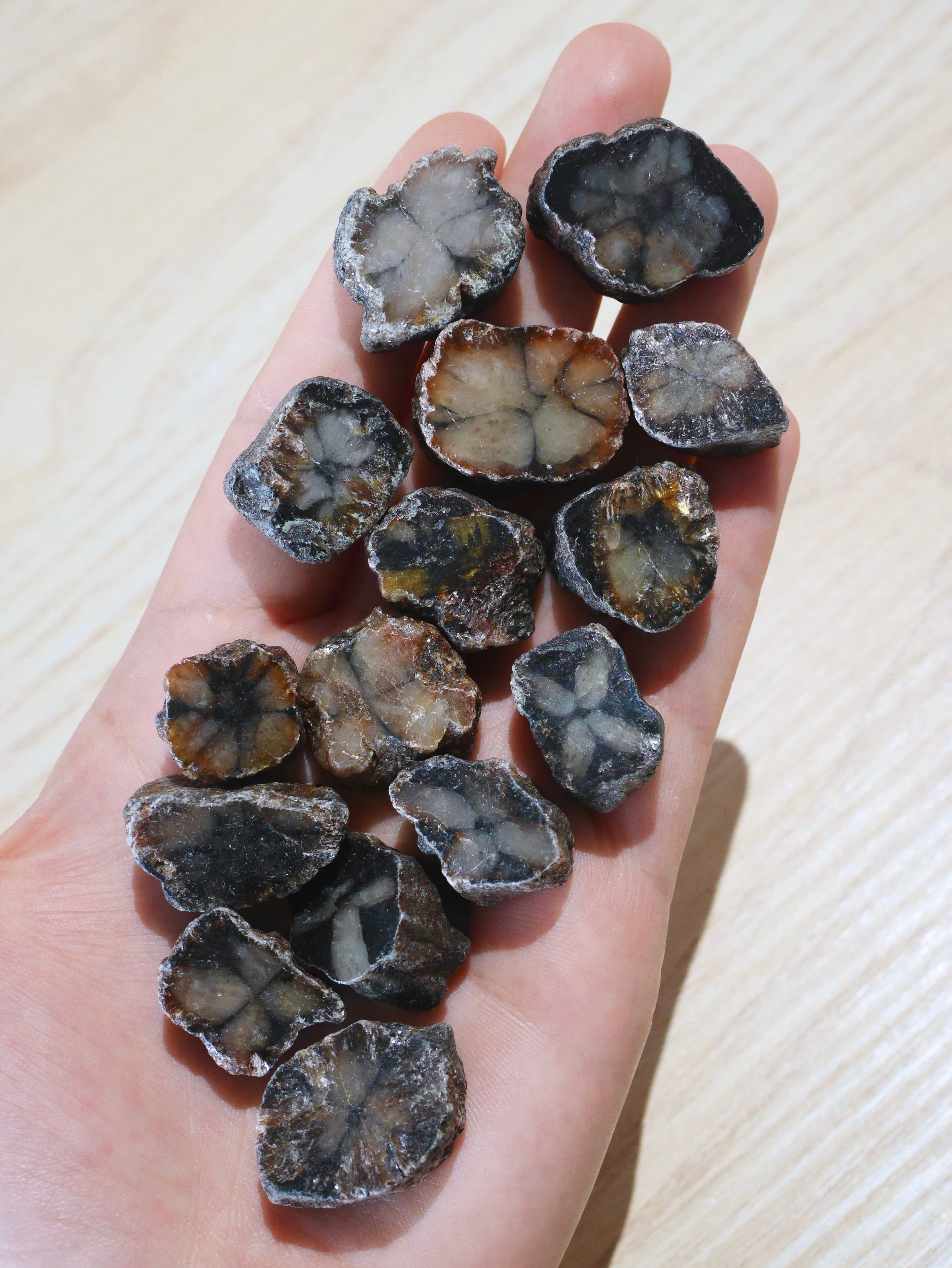 Chiastolite Raw – Mineralism